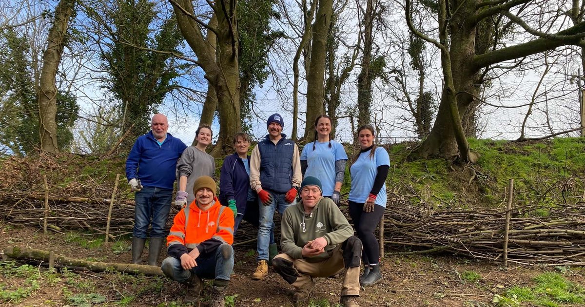 Rossborough Plants Hundreds of Trees: Planned Rewilding Accelerated by ...